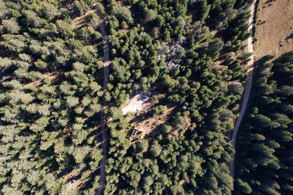 The Getaway Cabin | Architectuul