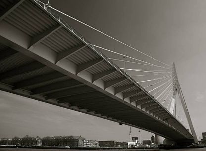 Erasmusbrug | Architectuul
