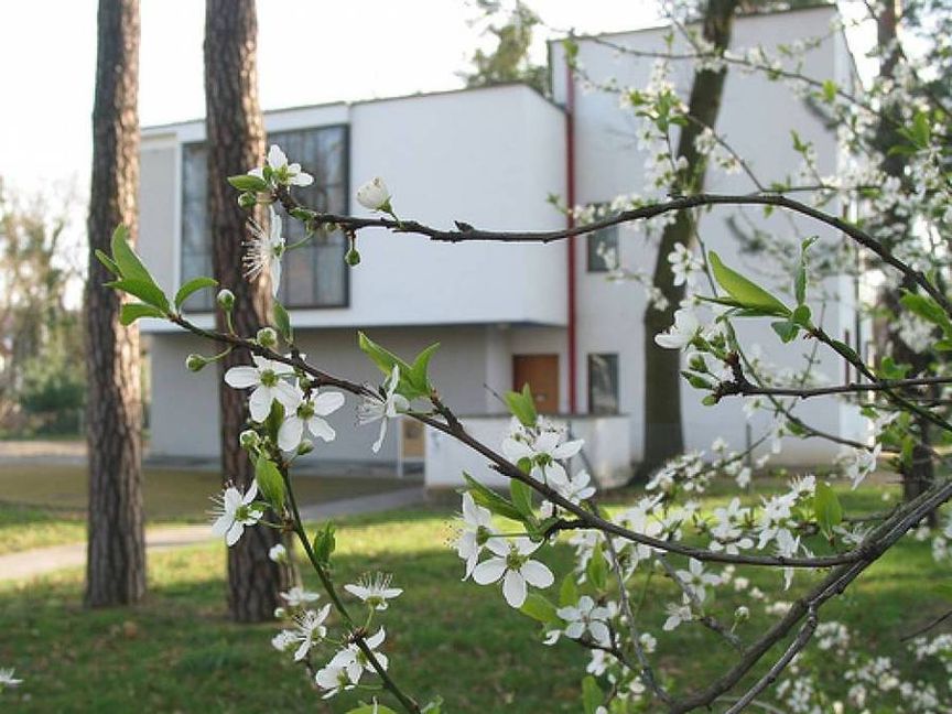 Search | Architectuul