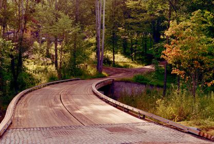 Fir Tree House | Architectuul