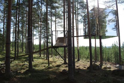 Mirrorcube Treehotel | Architectuul