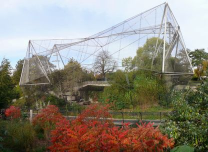 London Aviary | Architectuul