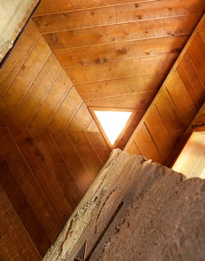 Fir Tree House | Architectuul