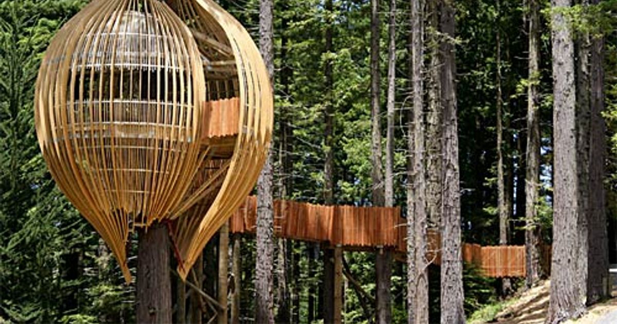 Yellow Treehouse Restaurant | Architectuul