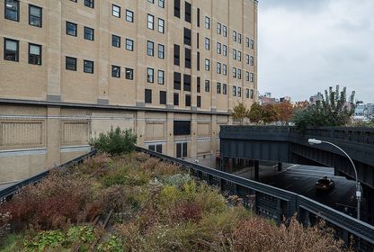 The High Line | Architectuul