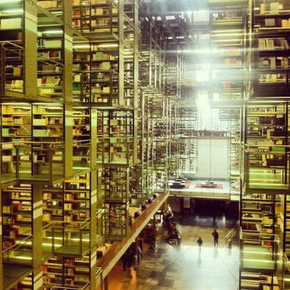 Vasconcelos Library | Architectuul