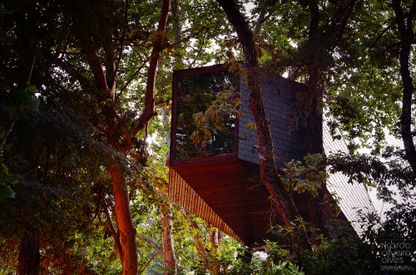 Tree Snake House | Architectuul