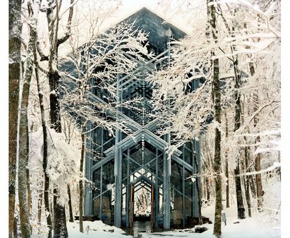 Fir Tree House | Architectuul