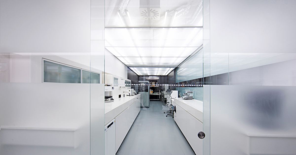 Dental Laboratory | Architectuul