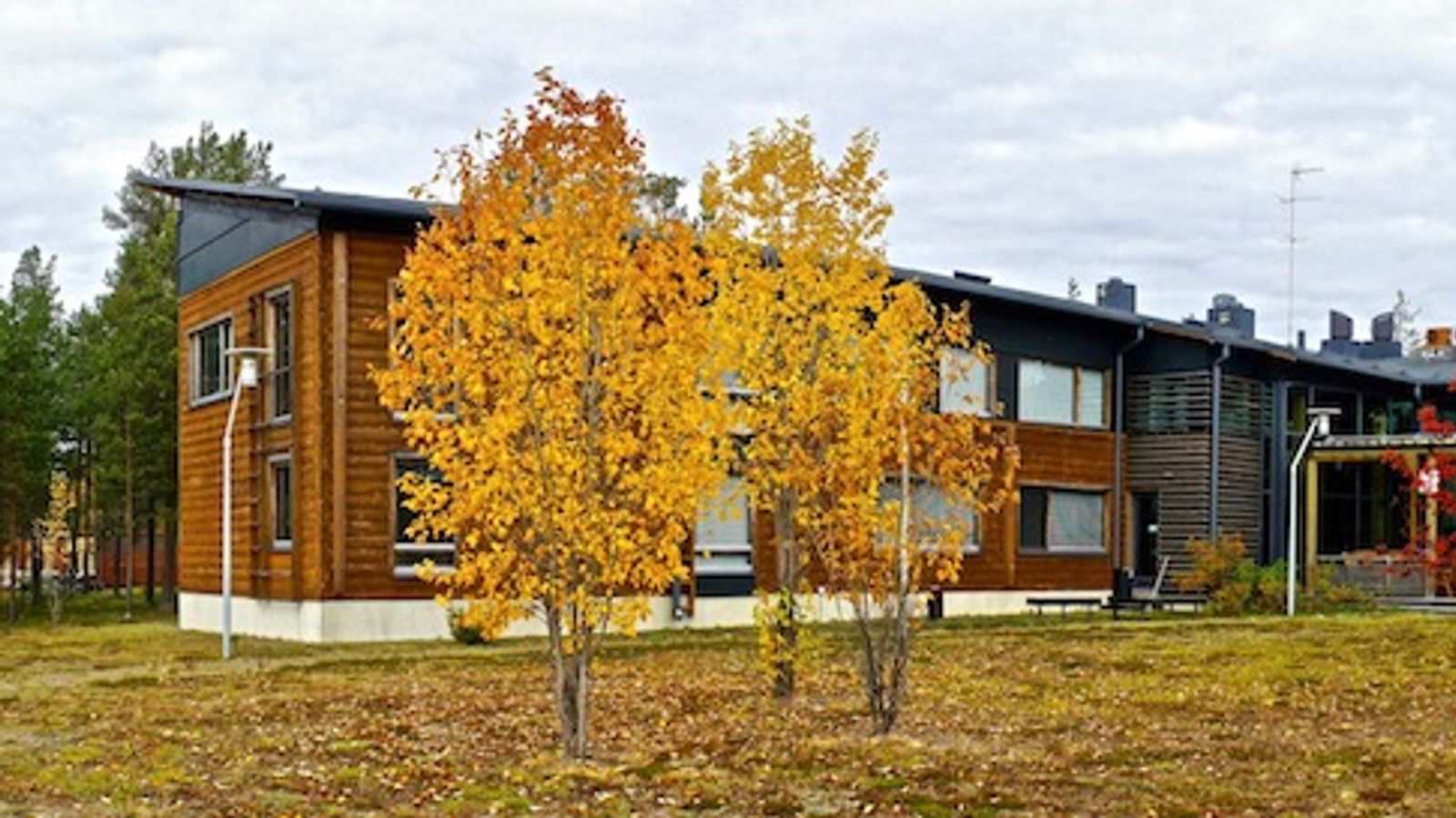 Geophysical Observatory