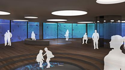 The Lost Column | Architectuul