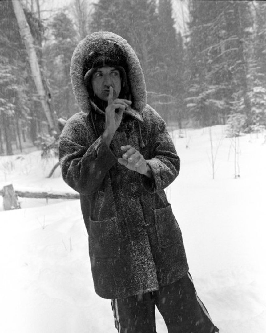 Search | Architectuul