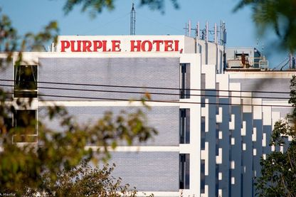 Purple Hotel | Architectuul