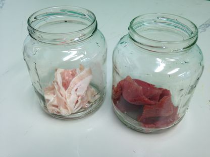 The Meat Project | Architectuul