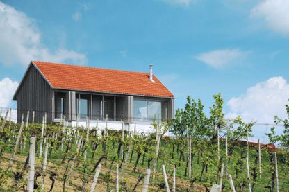 House B | Architectuul