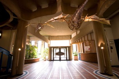 Rectorate of the Vrije University | Architectuul