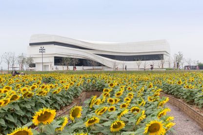 Wukang Building | Architectuul