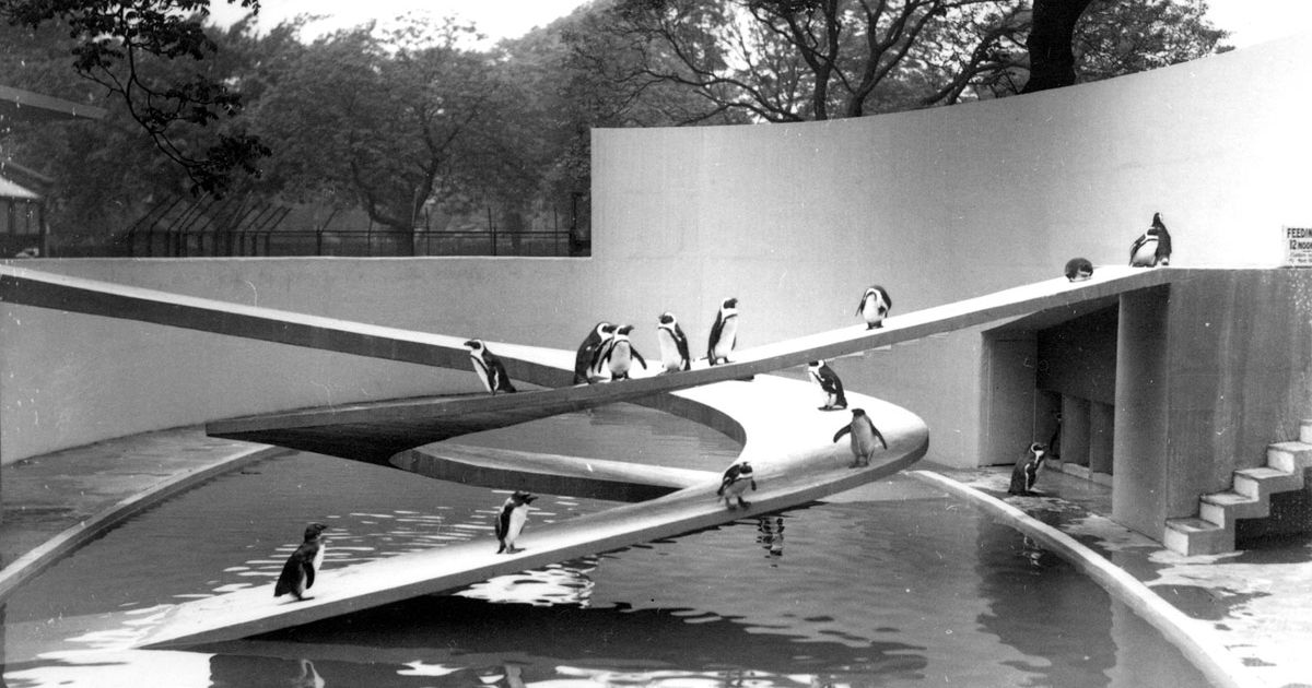 Penguin Pool, London Zoo | Architectuul