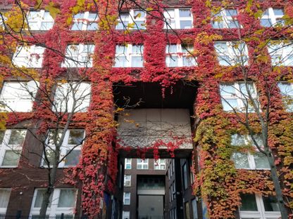 IBA Block 1 | Architectuul