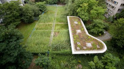 IBA Block 6 | Architectuul