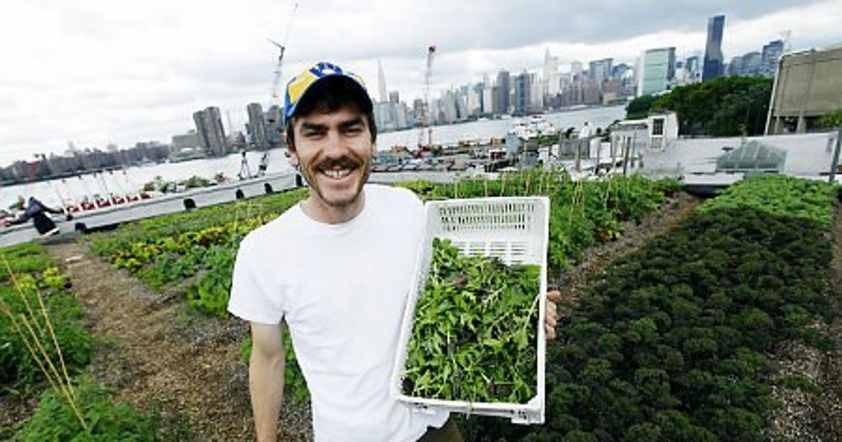 Hungry City | Architectuul