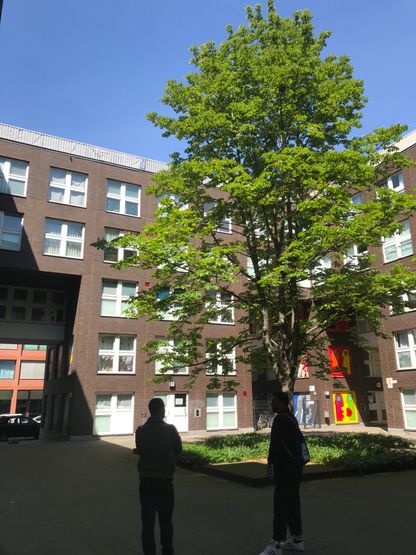 IBA Block 1 | Architectuul