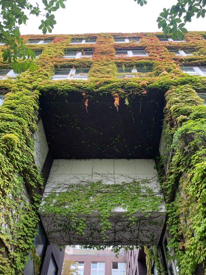 IBA Block 1 | Architectuul