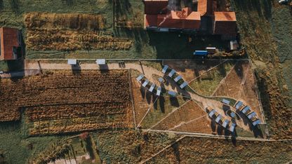 Chickenville | Architectuul