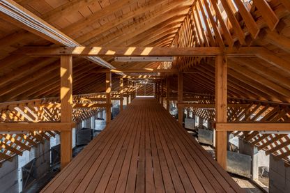Ecological Farm of Black Slavonian Pigs | Architectuul