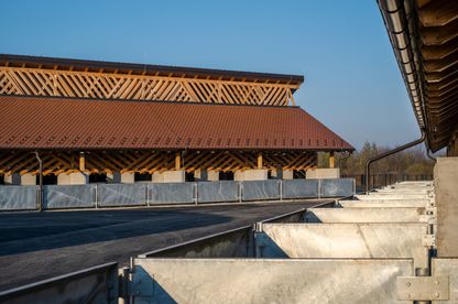 Ecological Farm of Black Slavonian Pigs | Architectuul