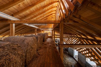 Ecological Farm of Black Slavonian Pigs | Architectuul