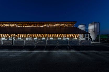 Ecological Farm of Black Slavonian Pigs | Architectuul