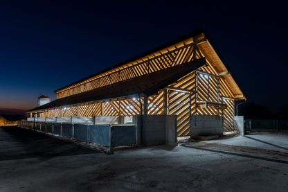 Ecological Farm of Black Slavonian Pigs | Architectuul