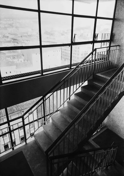 Tower Houses Trieste | Architectuul